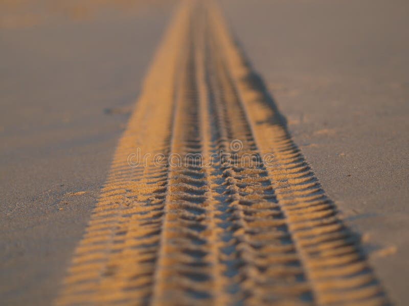 Tracks on the Golden Sand Leading into the Sea Stock Image - Image of ...