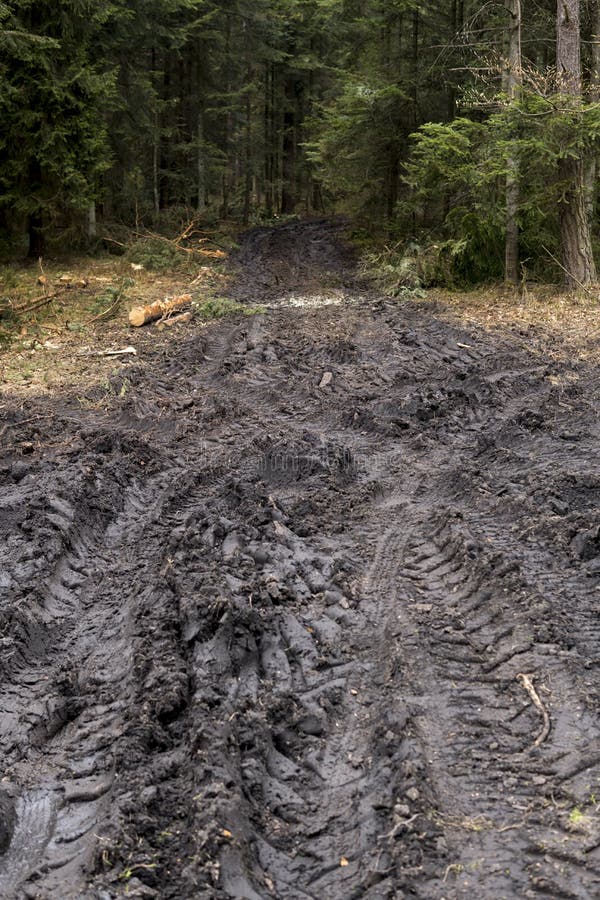 Tracks of Heavy Equipment on the Ground Stock Image - Image of track ...
