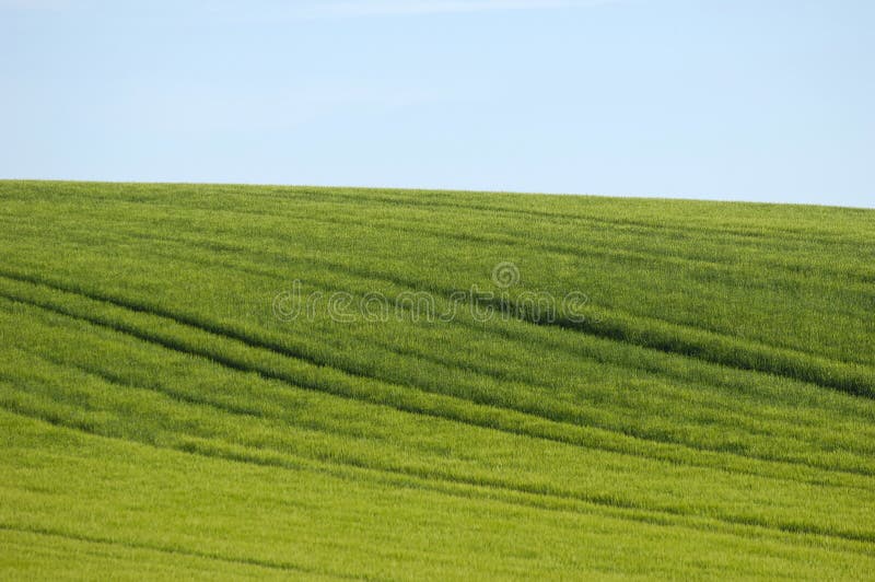 Tracks on hill stock image. Image of abstract, farmland - 2591875