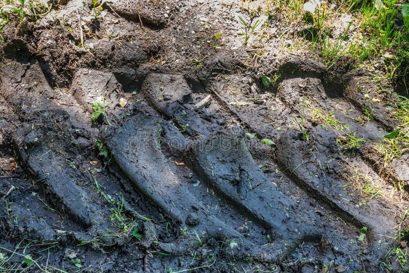 Tracks Left in the Mud by a Tractor. Stock Image - Image of drive ...