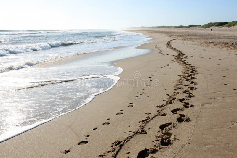 Sand tracks at the beach stock illustration. Illustration of sunsetsand ...