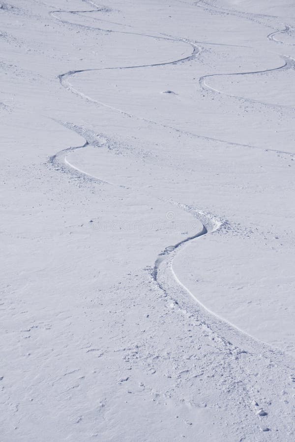 Tracks on a Mountain Slope, Freeride in Deep Snow Stock Photo - Image ...