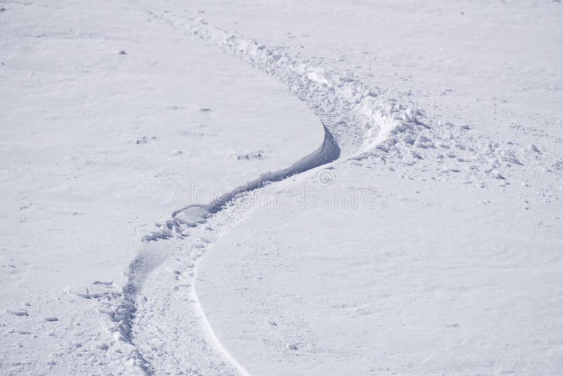 Tracks on a Mountain Slope, Freeride in Deep Snow Stock Image - Image ...