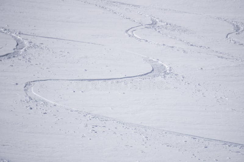Tracks on a Mountain Slope, Freeride in Deep Snow Stock Photo - Image ...