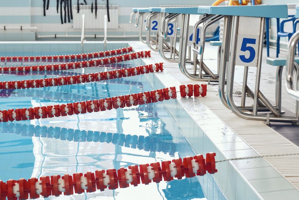 Tracks in the pool stock image. Image of pool, swimming - 63552405