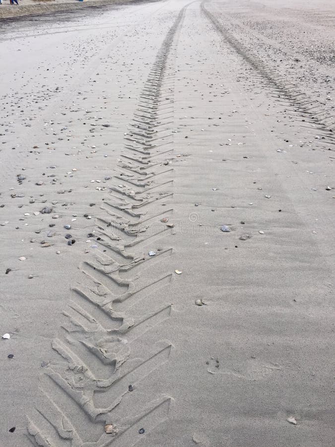Tracks in the sand stock image. Image of beach, sand - 52679277