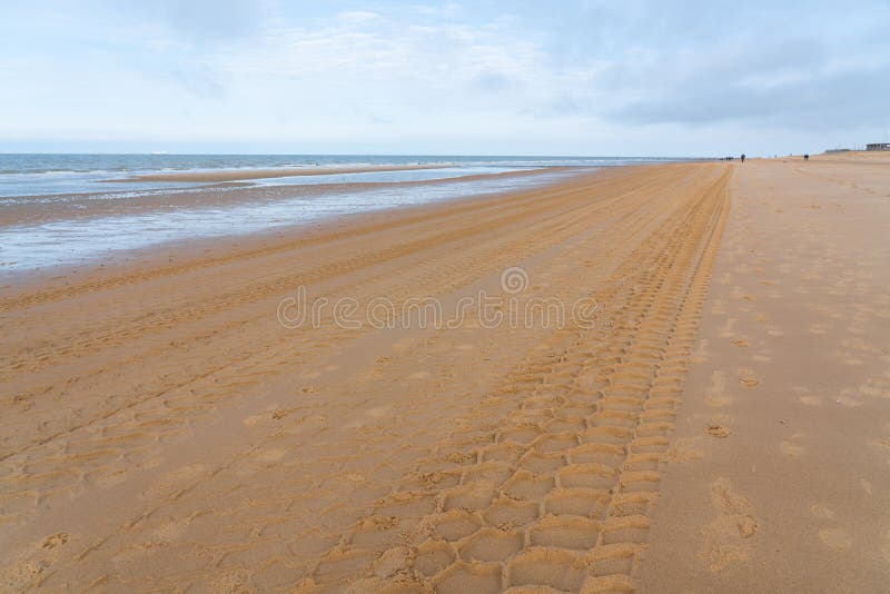 Tracks in the sand stock image. Image of vehicle, truck - 270500297