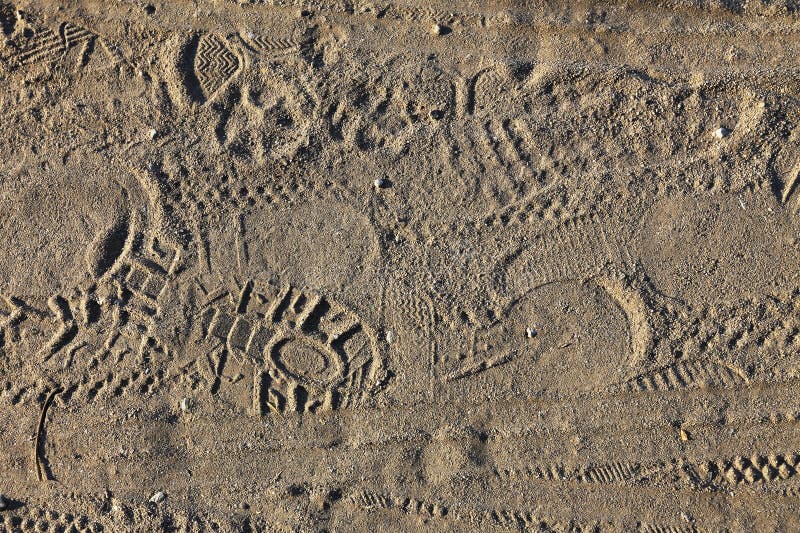 Different Tracks in the Sand Stock Image - Image of tracks, pattern ...