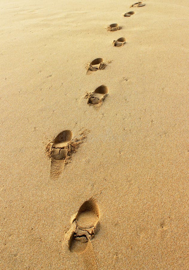 Tracks on a sand stock photo. Image of tracks, hyena - 42454540