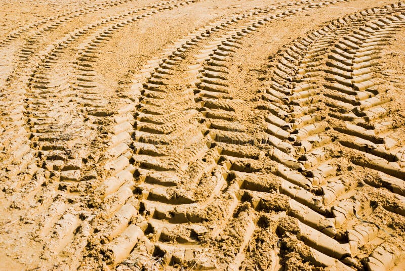 Tracks In The Sand (Namibia) Stock Image - Image of dunes, grass: 15498269
