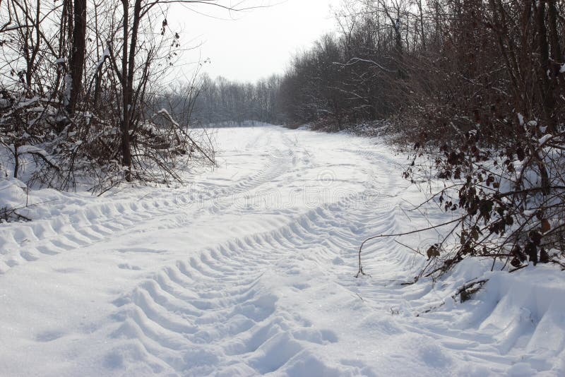Tracks in the snow stock photo. Image of frozen, daylight - 23322218