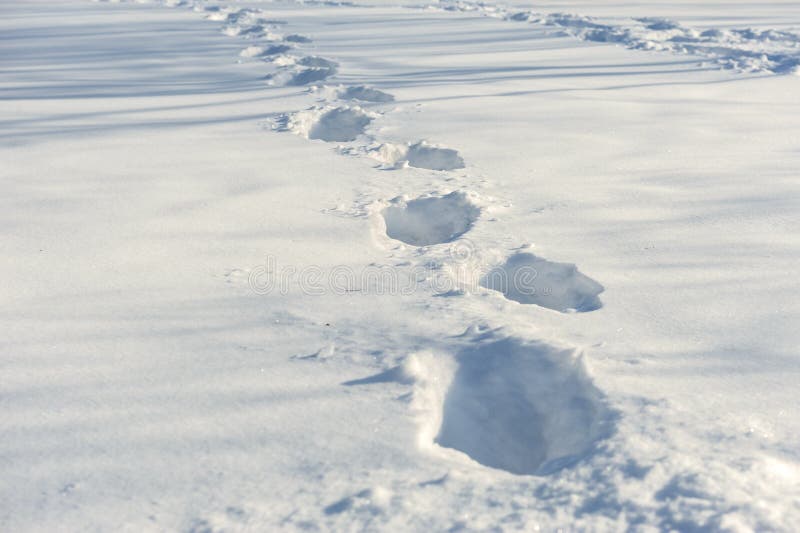 510 Human Tracks Snow Photos - Free & Royalty-Free Stock Photos from ...