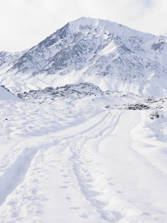 Tracks through Snow stock photo. Image of frosty, december - 462964