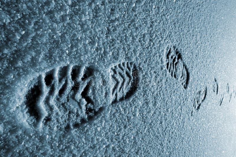 Tracks in the snow stock image. Image of foot, footprint - 8016219