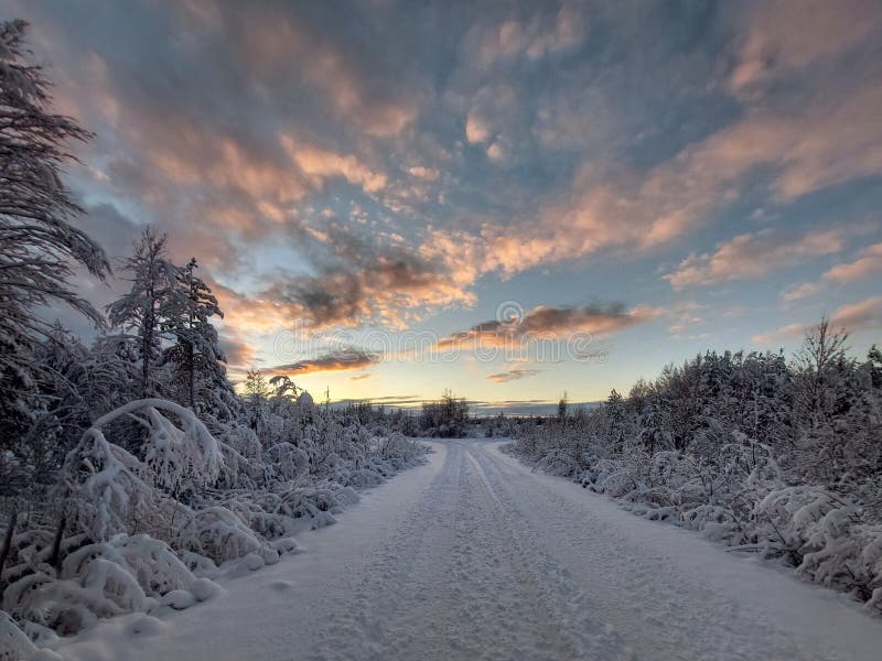 Tracks in the Snow in Front of Beautiful Winter Evening Sky Stock Photo ...