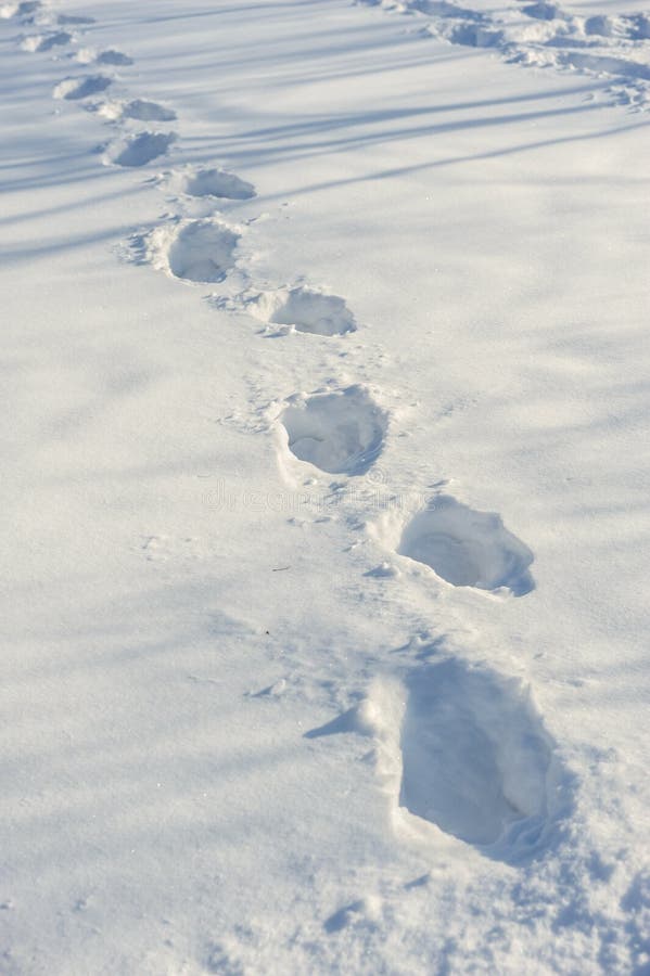 Tracks on the snow stock image. Image of pattern, step - 37743257