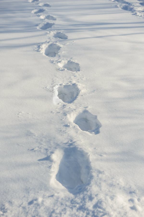 Tracks on the snow stock photo. Image of step, perspective - 45296288