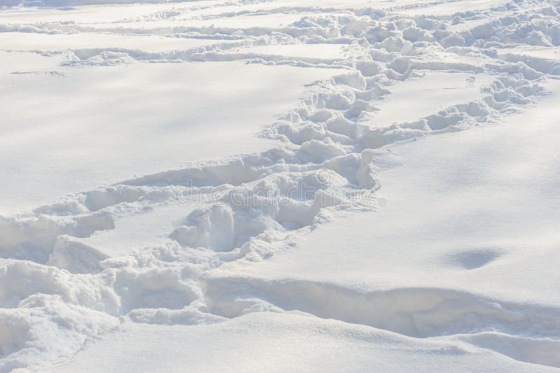 Tracks on the snow stock photo. Image of field, cold - 47139996