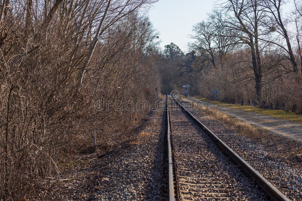 The Tracks for the Train are Lined with Trees. Monorail in the ...