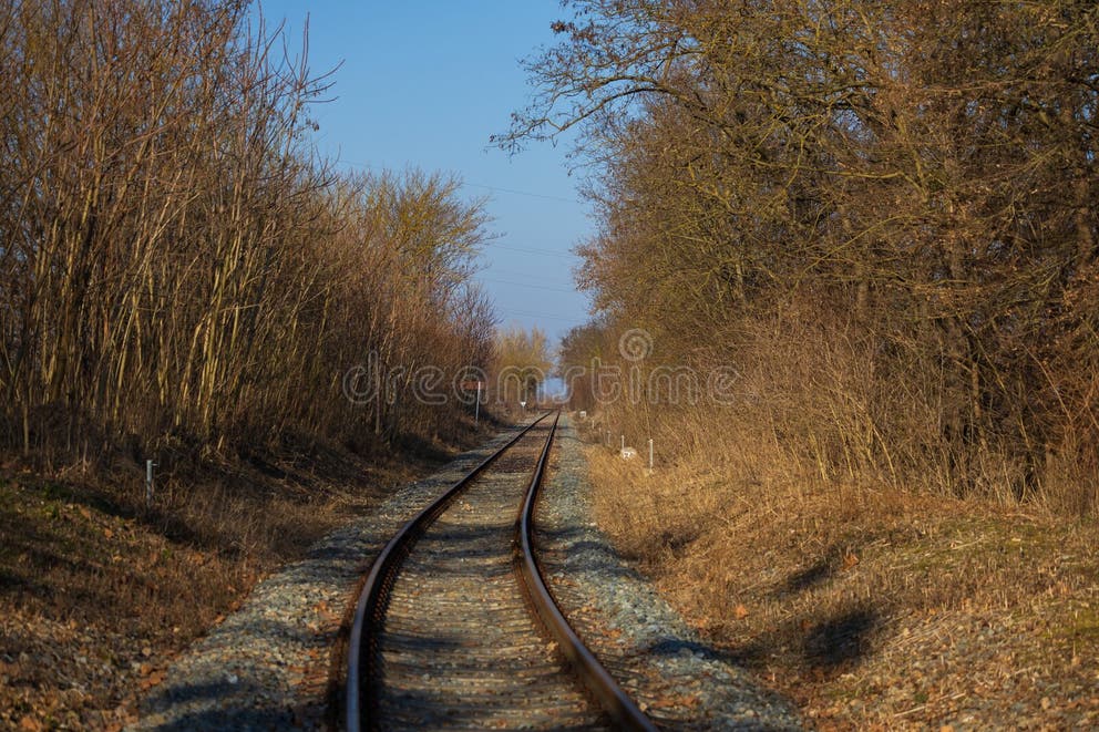 The Tracks for the Train are Lined with Trees. Monorail in the ...