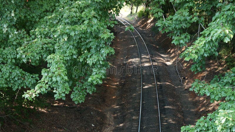 Tracks through Treelines from Above Stock Photo - Image of canopy ...