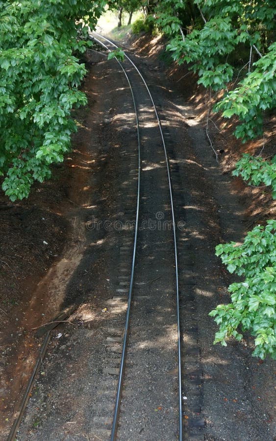 Tracks through Treelines stock photo. Image of green - 58094952