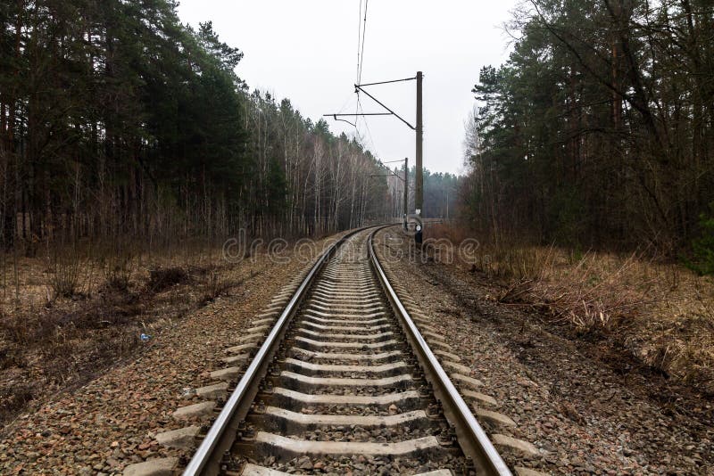 Tracks Turn Right. Railway Track in the Forest. Way into Forest. Stock ...