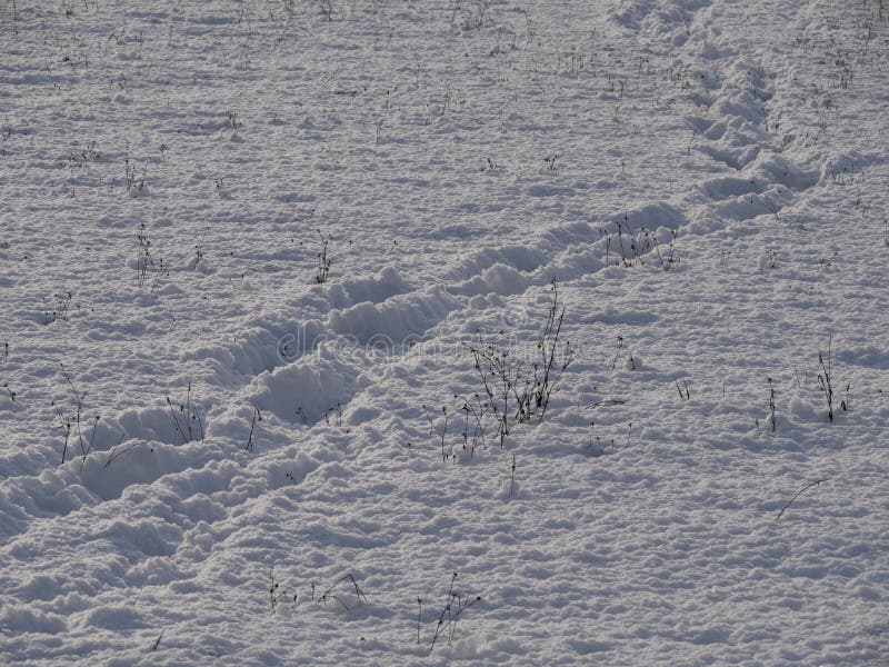Tracks of a Walker in the Snow in Winter Stock Photo - Image of road ...