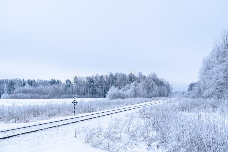 Tracks in Winter, Frostbitten Trees and Fields in Extreme Cold Stock ...