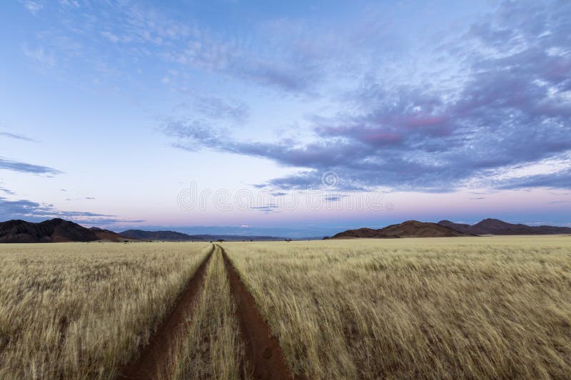 Tracks through Yellow Dry Grass on the Plain Stock Image - Image of ...