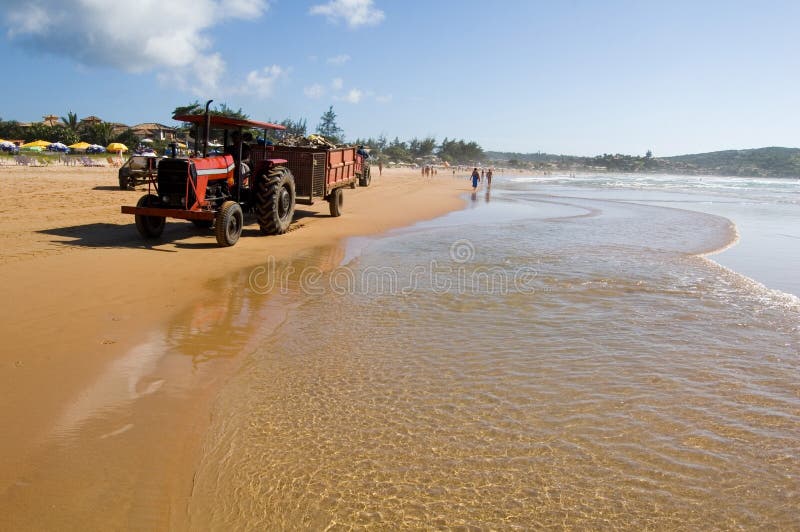 Tractor stock image. Image of morning, beach, summer, garbage - 434069
