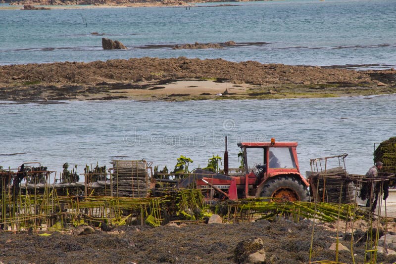 Tractor on the beach stock photo. Image of tourism, sand - 236774212
