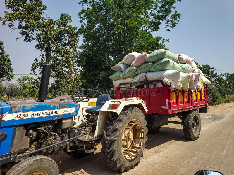 A Tractor is Carrying the Load of Grains. Stock Photo - Image of ...