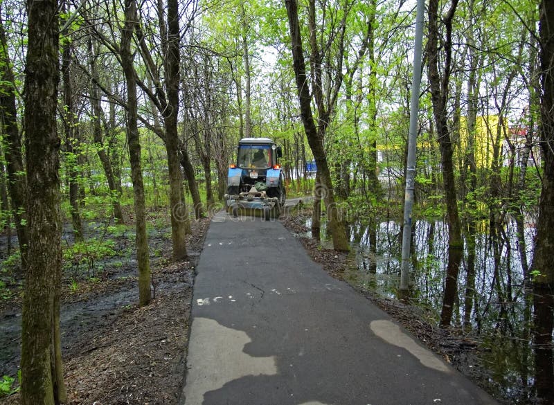 Tractor Cleans the Road in the Forest in the Spring Editorial Stock ...