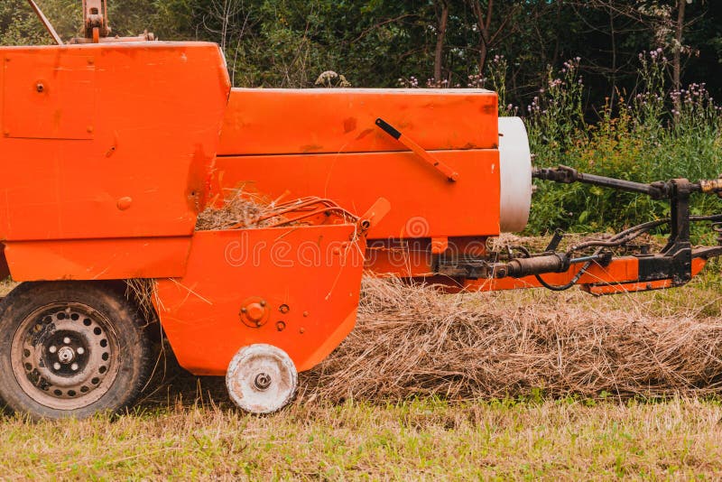 The Tractor Collects Dry Hay in the Field, the Hay Presses the Bale ...