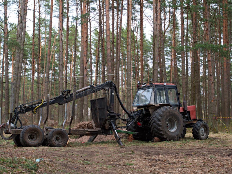 Tractor that Collects Felled Trees Stands Sideways, Tree Cutting ...
