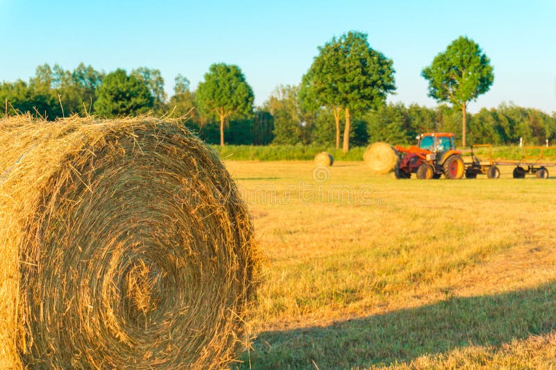 The tractor collects hay stock photo. Image of country - 95008736