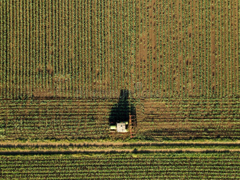 Tractor Cultivating Corn Crop Field, Aerial View Stock Photo - Image of ...