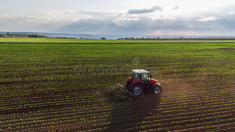 Tractor Cultivating Field at Spring Stock Image - Image of plough, dust ...
