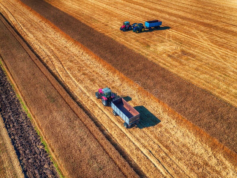 Tractor Cultivating Field at Spring Stock Photo - Image of planting ...