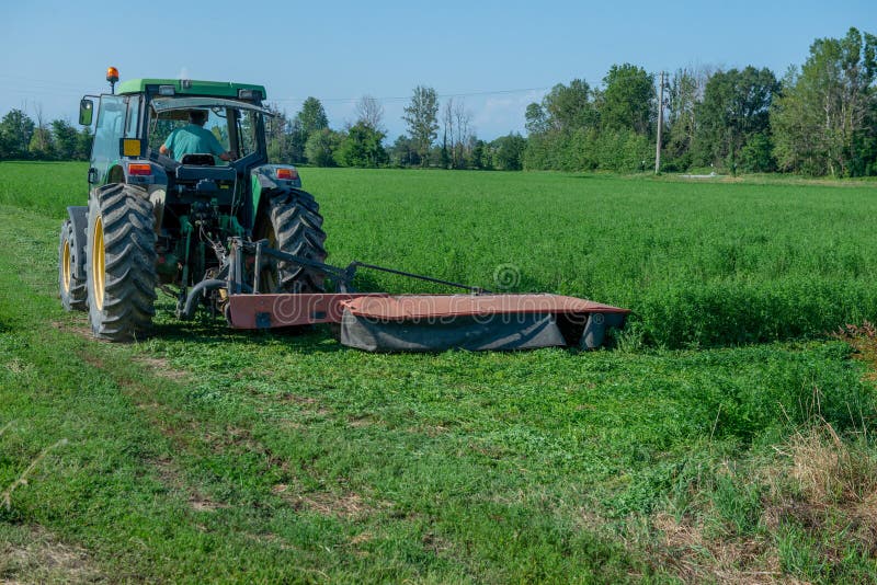 Tractor while it is Cutting the Grass Stock Photo - Image of ...