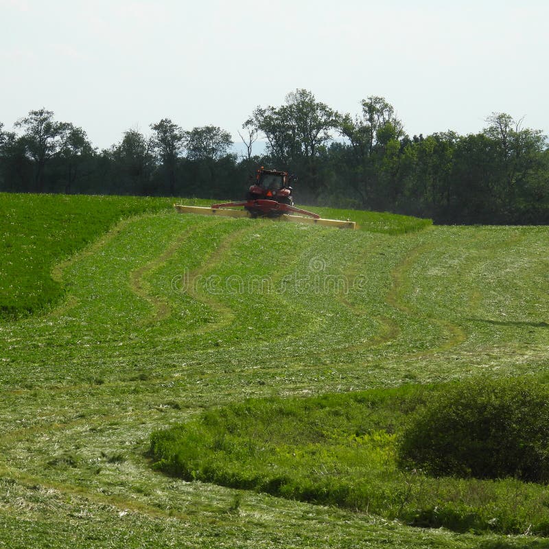 Tractor Cutting Hay Field in New York State Stock Photo - Image of ...
