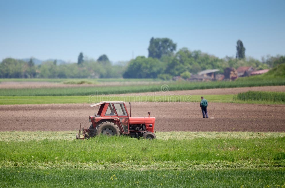 Tractor cutting lucerne stock photo. Image of grass, outdoor - 88621608