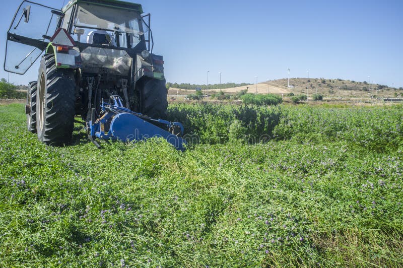 Tractor Cutting and Swathing Alfalfa Stock Photo - Image of lucerne ...
