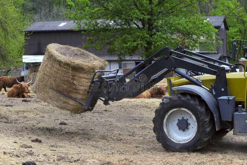 Tractor driven hay stock image. Image of swath, ground - 41963921