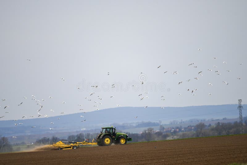 Tractor Driving Across the Field, Birds Flying Stock Image - Image of ...