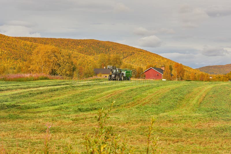 Tractor Driving on Grassy Field with Farming Equiptment on Overcast Day ...