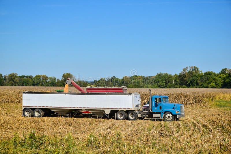 Tractor Emptying Its Load of Harvested Corn Stock Image - Image of farm ...