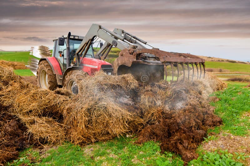 Tractor and Its Telescopic Fork Handling Manure for Spreading in the ...