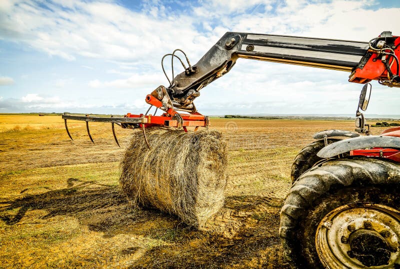Tractor Equipped with a Fork To Handle the Stacks of Flax Close-up ...